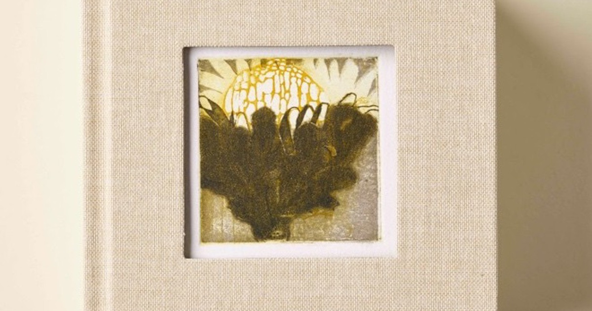 Publication: Special Edition | Katherine Jones - twenty one material ...